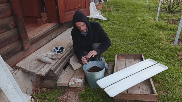 Маленькие стаканчики-большой урожай