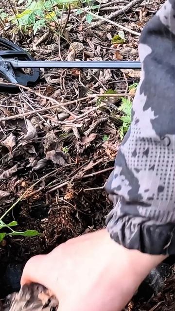 На старом огороде с металлоискателем