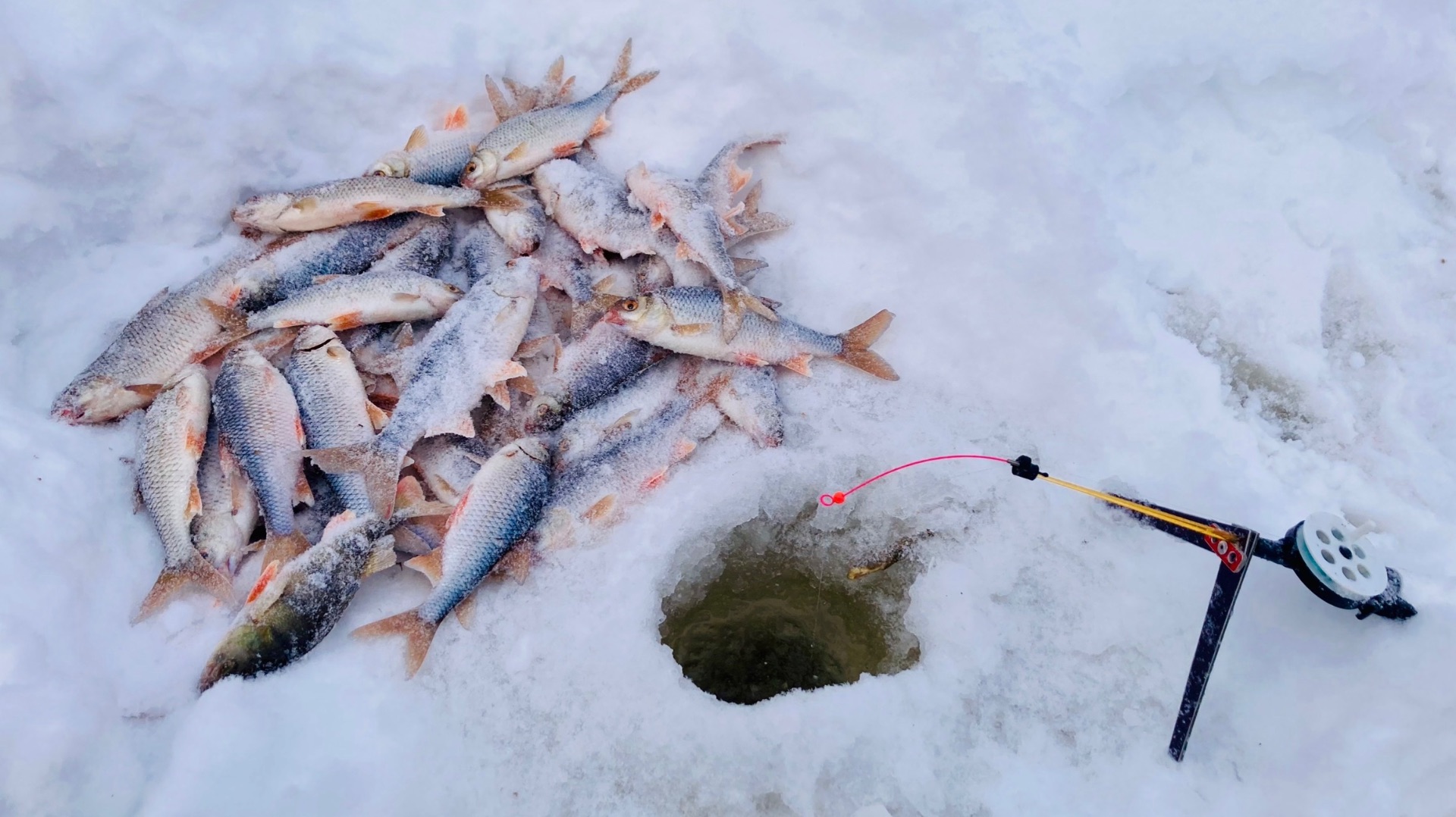 Реальная рыбалка без монтажа № 9. Зимняя рыбалка 2025.