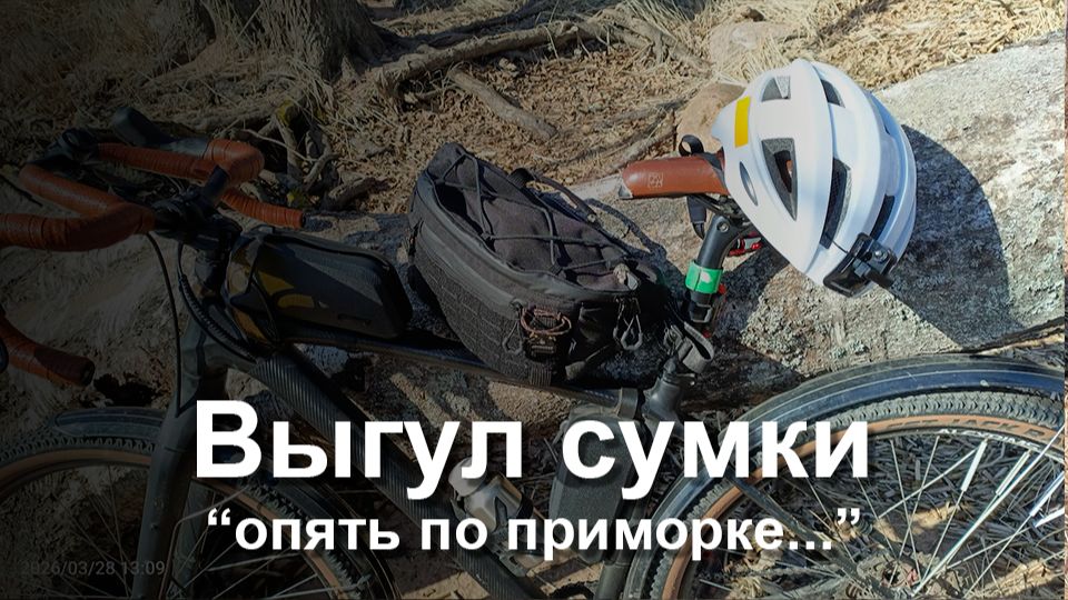 Выгулять сумку