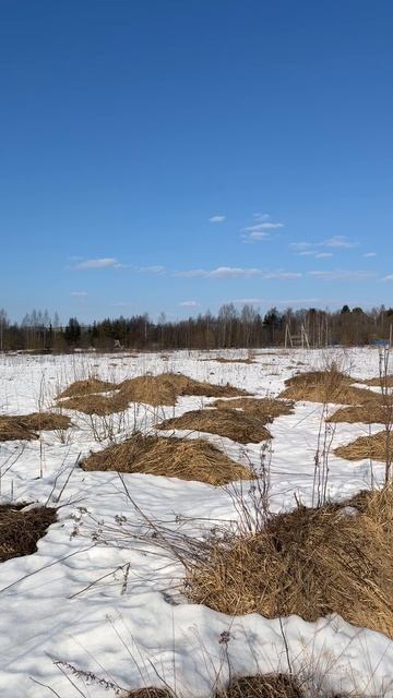Продаётся земельный участок промназначения 1.4 гектар около города Александров, вблизи дер. Марино