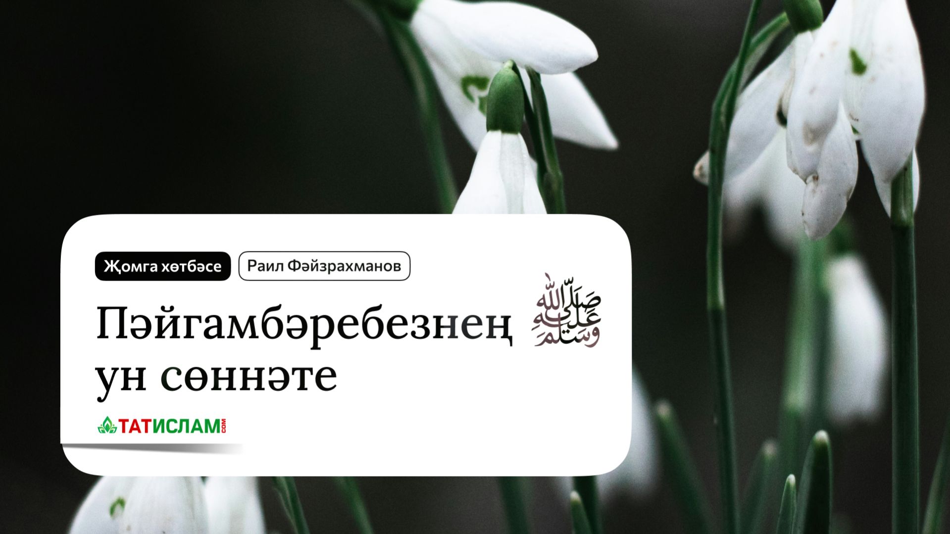 Пәйгамбәребезнең ﷺ ун сөннәте. Җомга хөтбәсе. Раил Фәйзрахманов