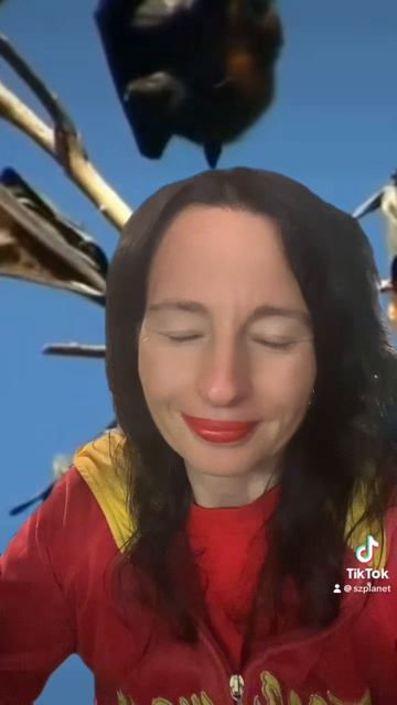 В Австралии Все наоборот и  Рожают Кверх Тормашками. Летучие Лисицы и их детеныши.