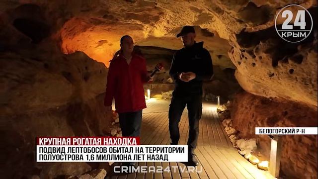 В Крыму обнаружили кости древнего быка