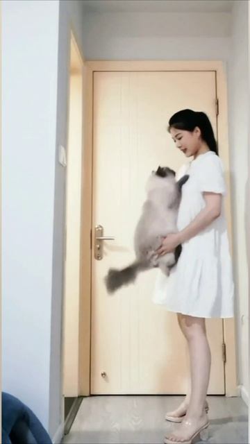 Смешные коты #116-8