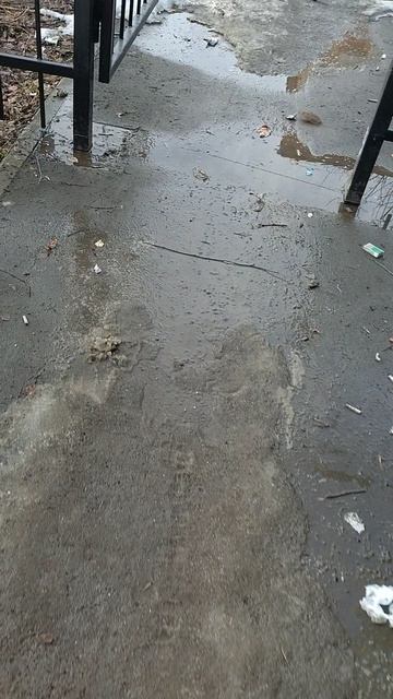 №1955 Двор П. Осипенко 48. 29 марта 2026 г., 17:51:05 VID_20260329_175030393