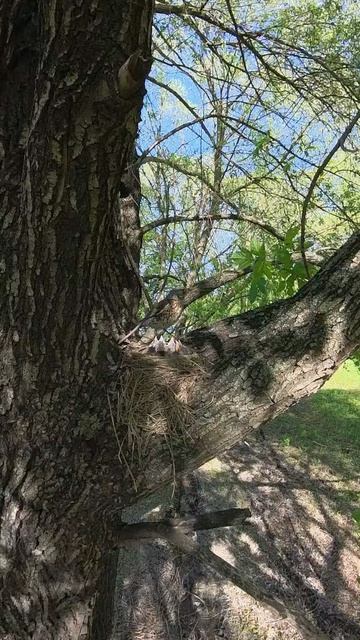 Там у реки мы построили дом