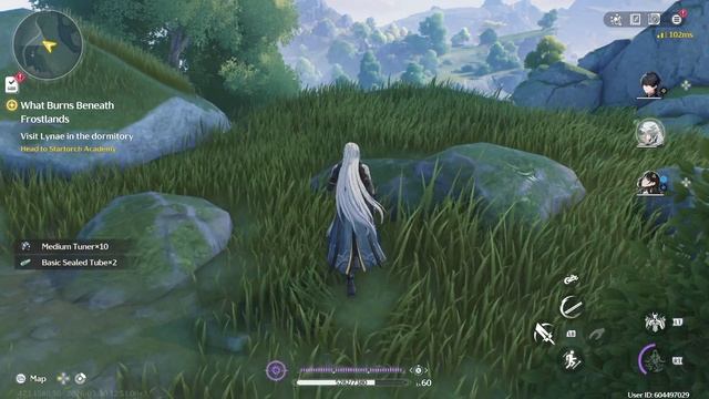 Wuthering Waves - Gameplay