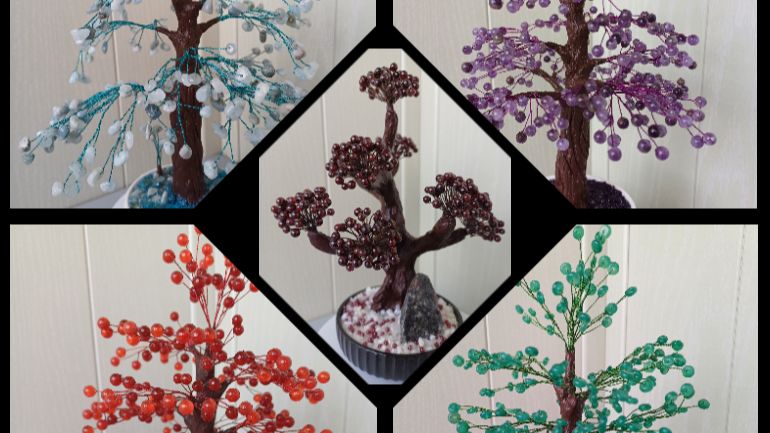 Настольные деревья, ловцы солнца (комнатные, садовые). https://t.me/minigardenZ