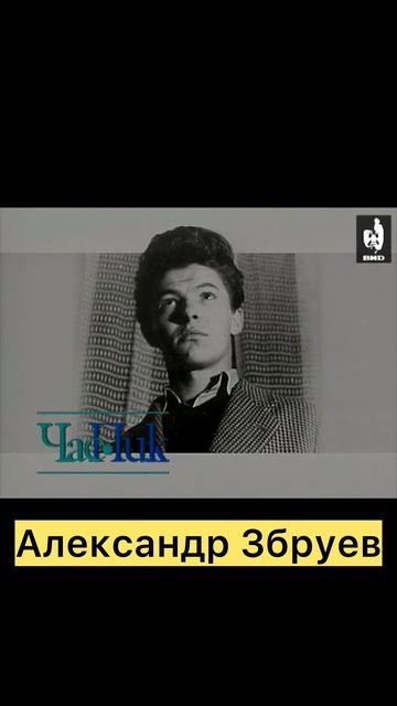 Александр Збруев, 1995 год