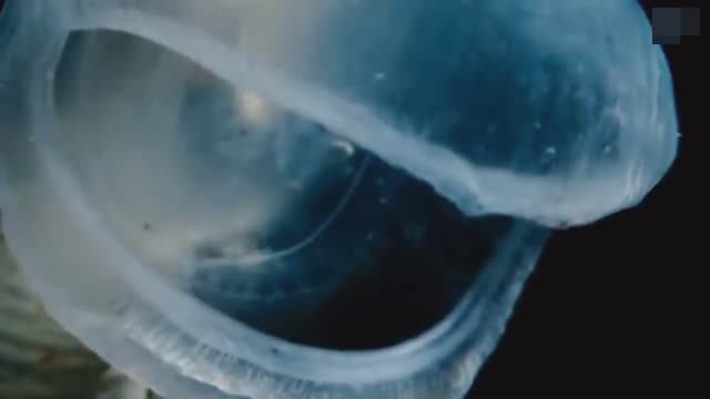 15 НЕВЕРОЯТНЫХ Подводных Находок ч. 3