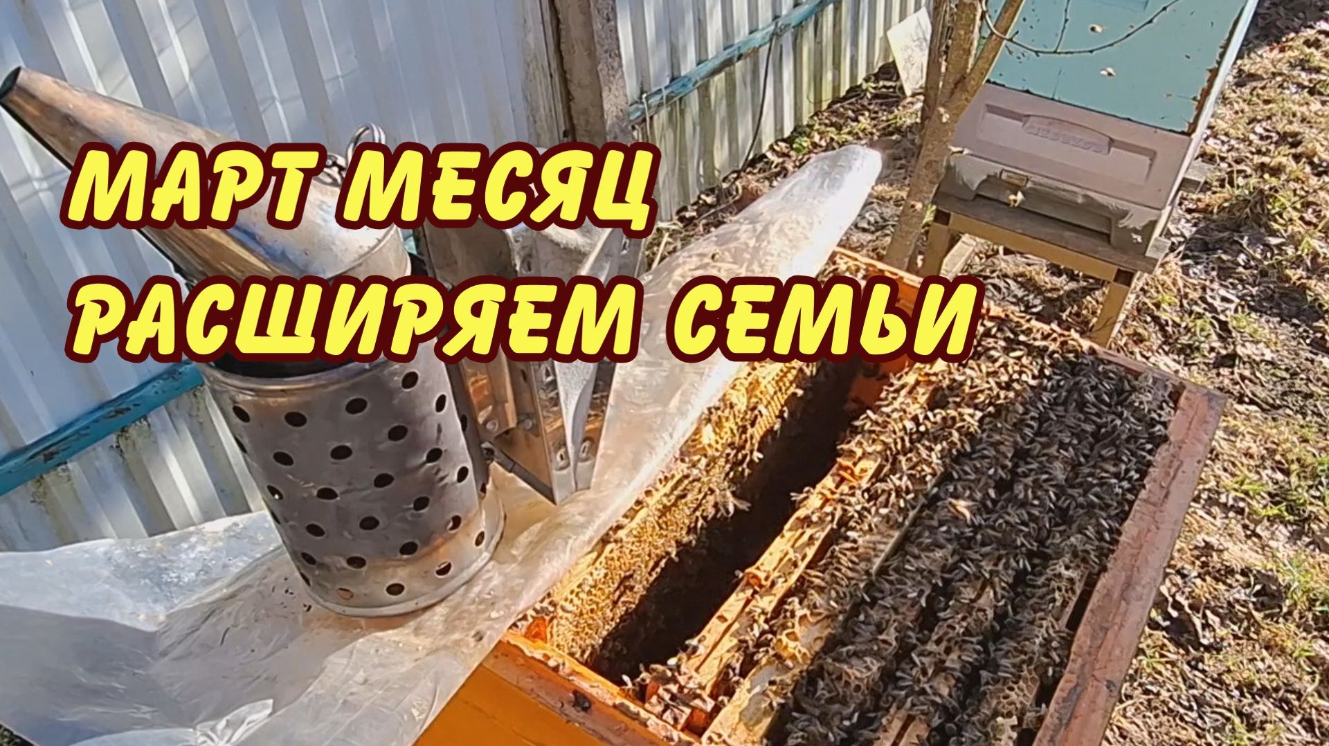 пчеловодство, март месяц расширяем семьи )))))))))