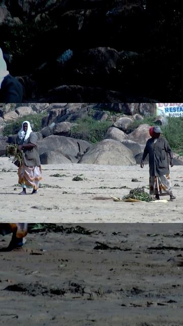 Индийский лайфхак – Как дешево сделать пляж чистым до следующей бури