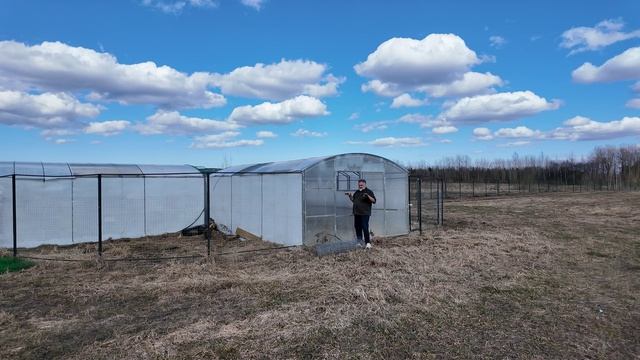 Летите серебристые чайки на волю! Выпуск птиц 28.03.2026г