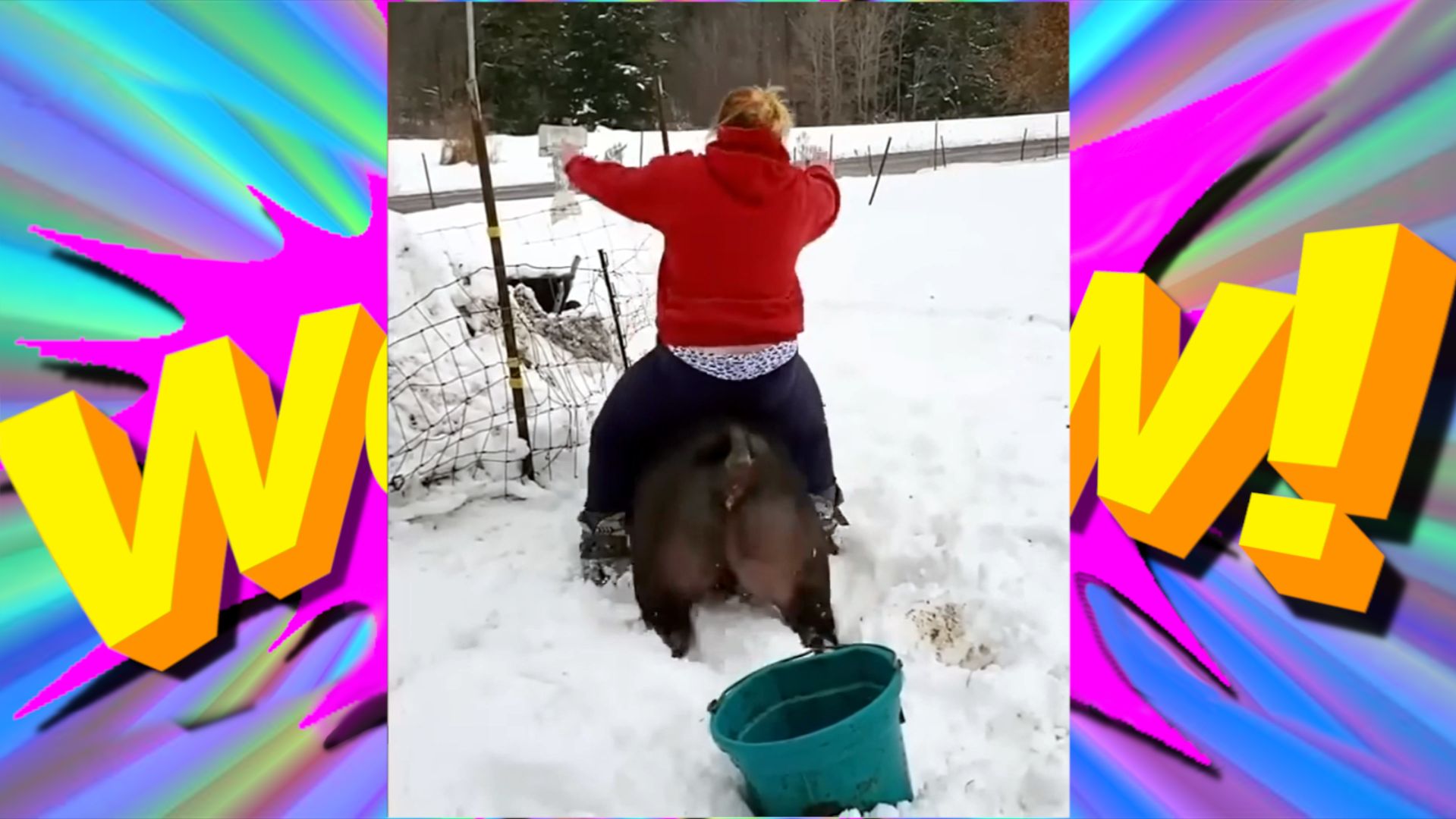 "СМЕШНЫЕ ВИДЕО: ПРИКОЛЫ, КОТОРЫЕ ПОДНИМУТ НАСТРОЕНИЕ"