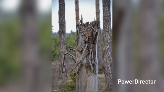 Липецкая обл. пос.Силикатный 28.03.26 г.