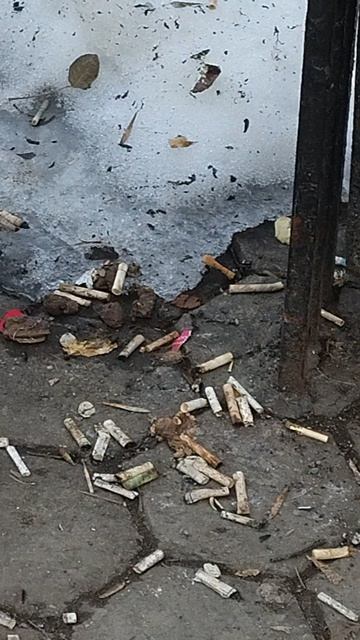 №1961 Комсомольский проспект. 29 марта 2026 г., 18:05:53 VID_20260329_180526439