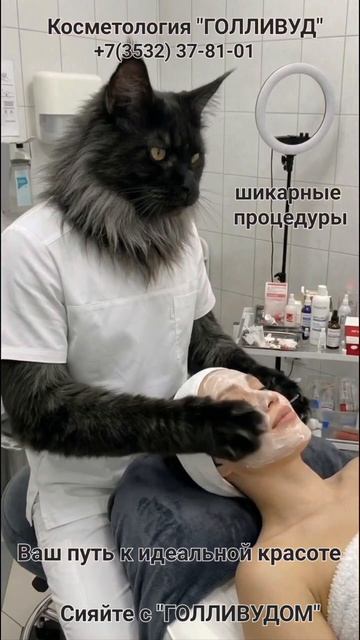 Привет от выпускника Мейн куна Патрика (Aurus Maritaicor fortuna)