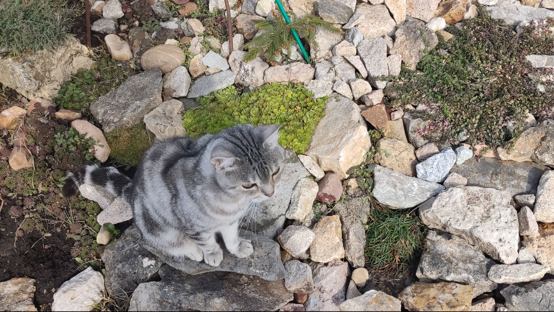 Какая красивая горка в саду у Яги, загляденье