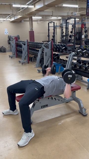 AFSM DB Bench | Шок-метдо жим гантелей лежа 90'