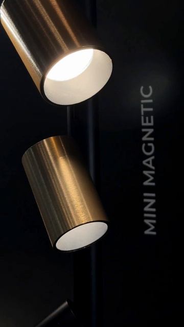 Светильник Elektrostandard Mini Magnetic 85204/01