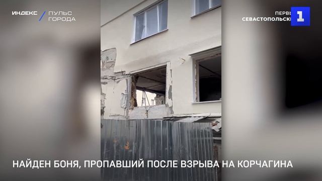 Найден кот Боня, пропавший после взрыва на Корчагина