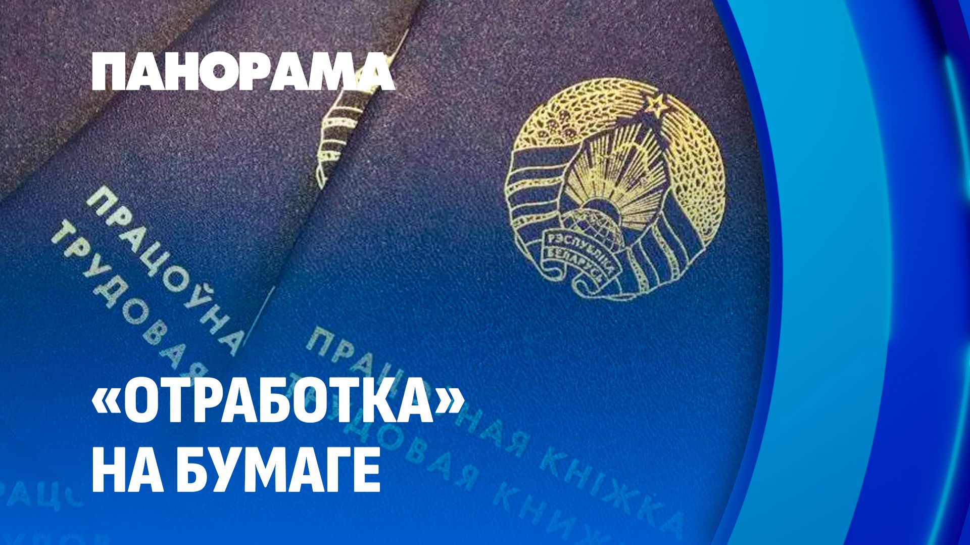 В Могилеве раскрыта схема фиктивного трудоустройства выпускников по распределению. Панорама