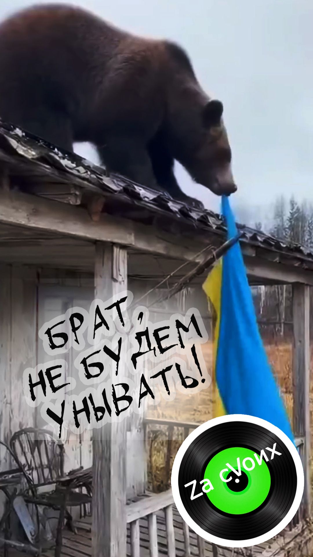 🔞ПЕСНЯ +18🔞❗Брат, не будем унывать❗ МНОГО МАТА ❗ #shorts #shortsvideo #музыкаzacvoих