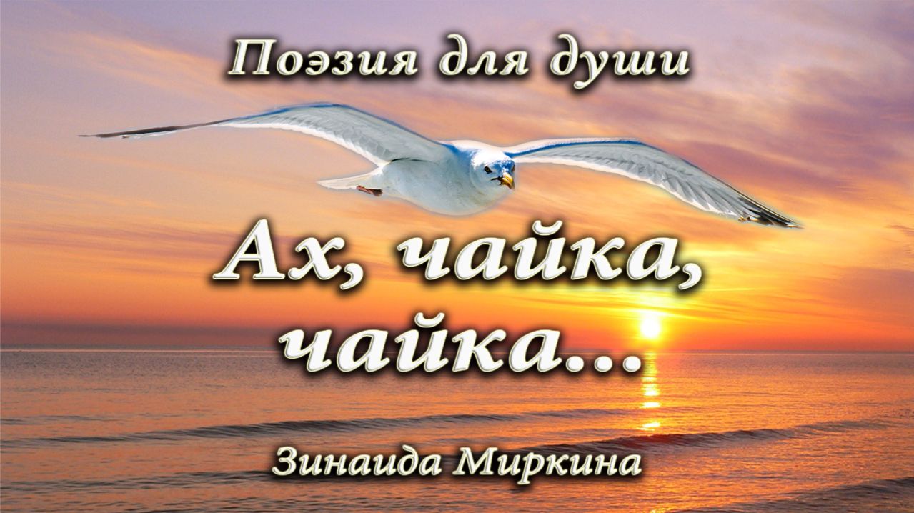 "Ах, чайка, чайка...", Зинаида Миркина (поэзия для души)