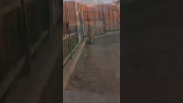 28.03.26г ШЕРхану понравились активные дети