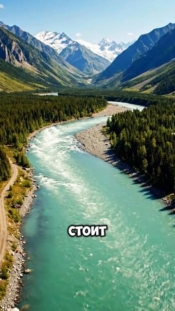 Сплав по реке Катунь_ экстрим или отдых_ 3shorts