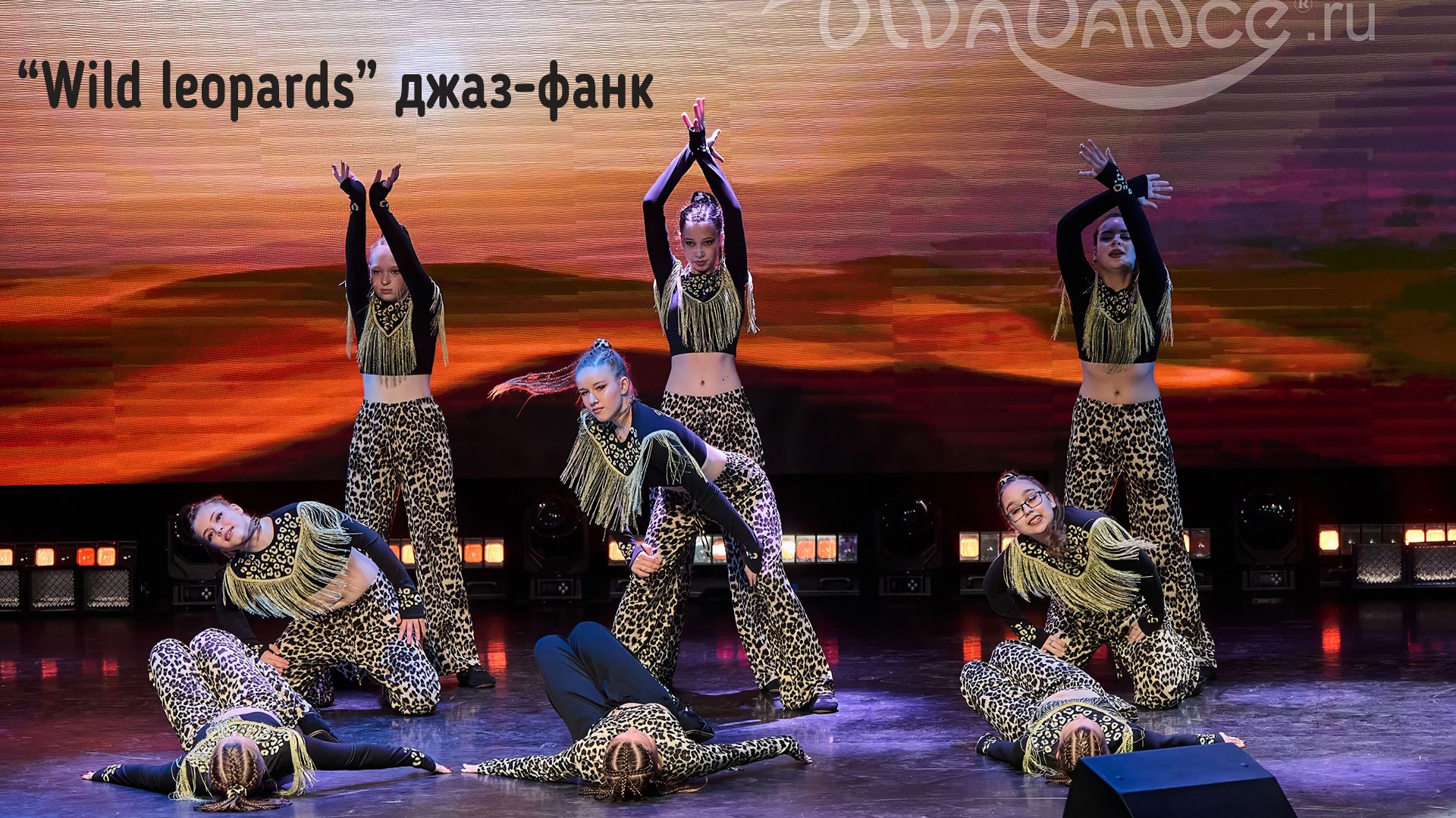 Wild leopards Jazz funk (джаз-фанк) студия танца Divadance (Дива танцы)