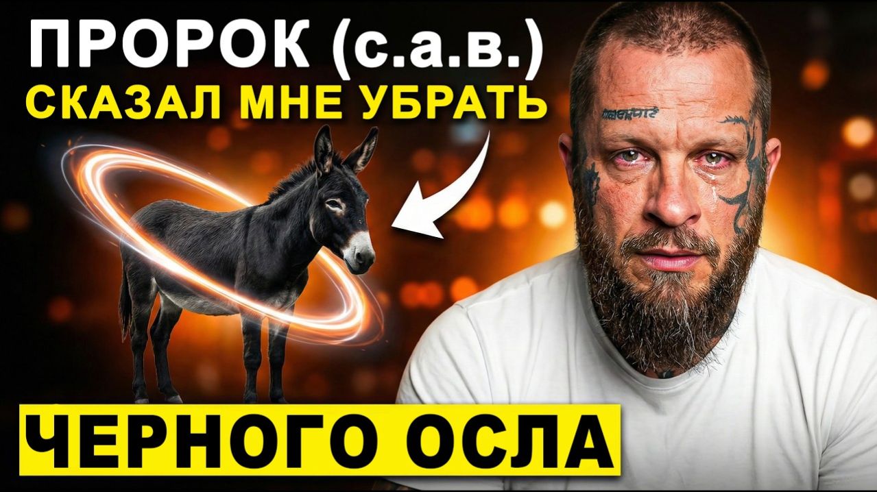 «Я принял ислам в Голливуде» — Пророкﷺ велел велел мне убрать чёрного осла во сне.| ПроДинМедиа