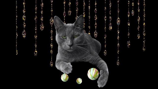 Колокольчики и мурчание кота