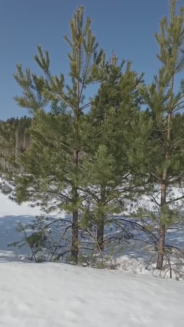 Тихий, солнечный март.