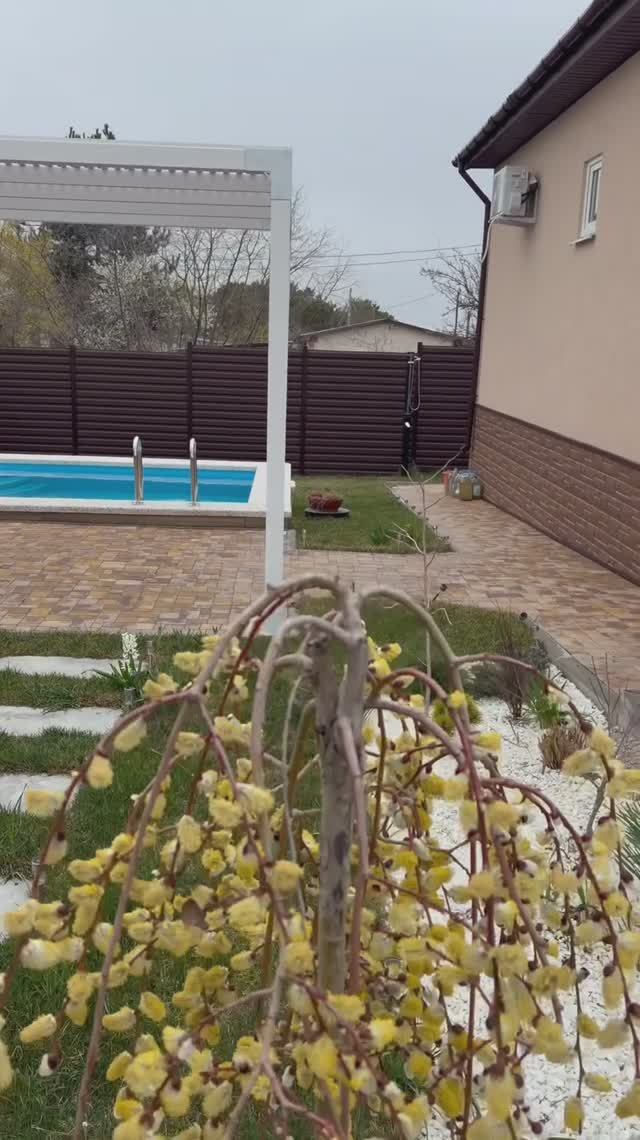 Вчера Вербу купил - сегодня посадил #сад #садоводничество #garden #цветы #plants