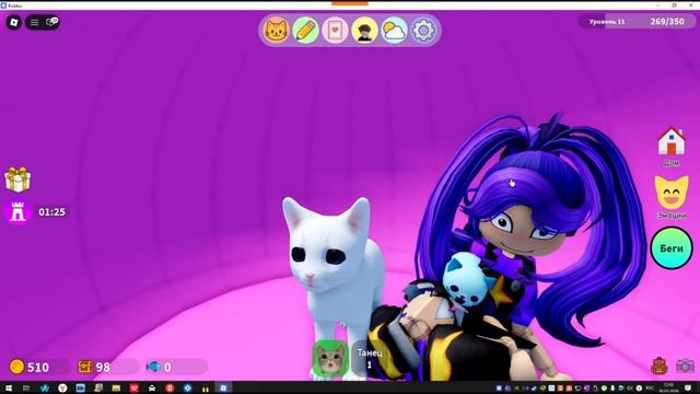 играем в игру с котятами