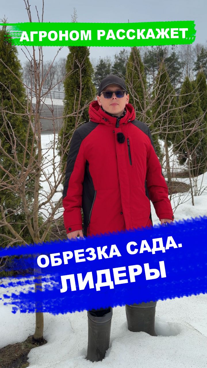 Обрезка, про Лидеров
