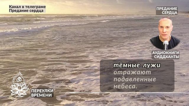 Переулки времени. Аудиокниги Сиддханты (Вячеслава Чернина)