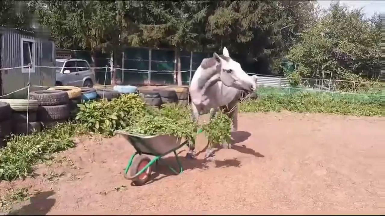 Генеральная уборка