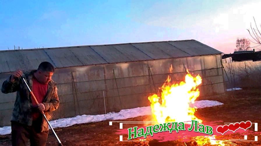 Огородный триллер: Костер и погоня за мышью