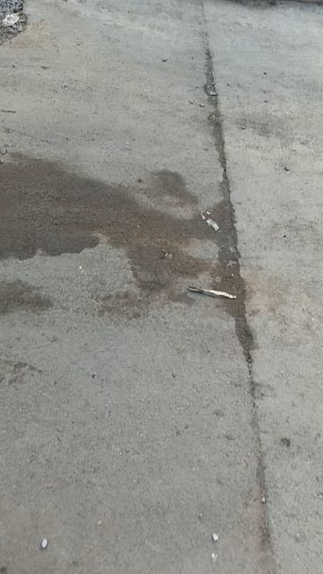 №1956 ул. Полины Осипенко. 29 марта 2026 г., 17:51:37 VID_20260329_175109457