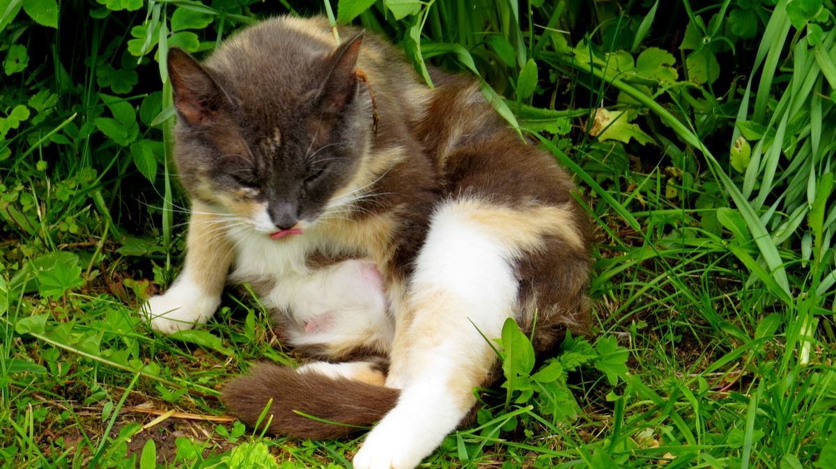 Не дадут спокойно умыться...