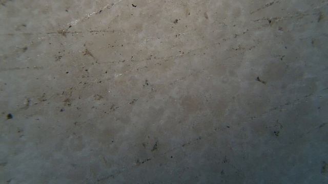 О суспензии, которая ЗАТОЧИТ ВСЁ - при умелом использовании