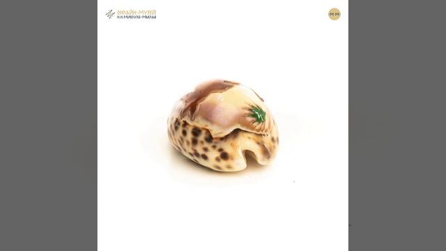 Ракушка с кенгуру (Австралия)