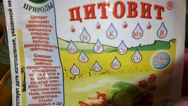 2307. Рассадный 2026 г. Органо минеральная подкормка перцев.