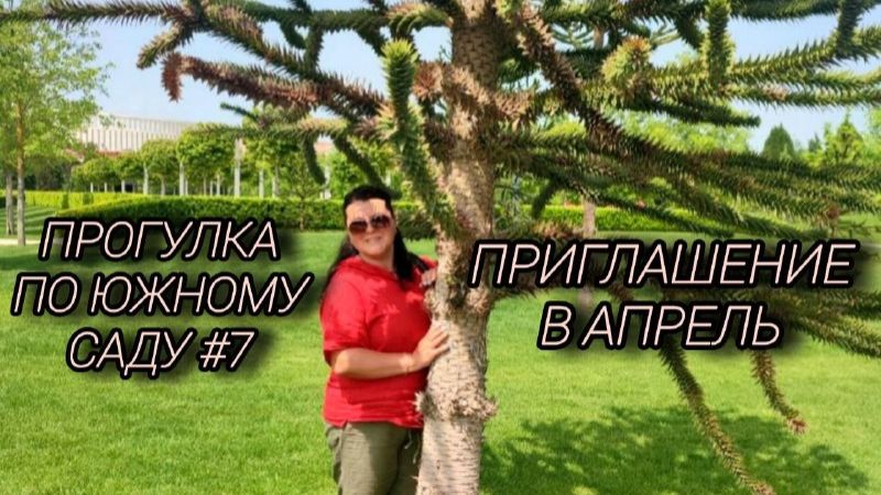 Прогулка по весеннему  Южному саду # 7. Обработка хвойных. Один раз в год сады цветут.