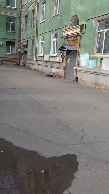 №1951 Двор П. Осипенко 48. 29 марта 2026 г., 17:46:28 VID_20260329_174556960