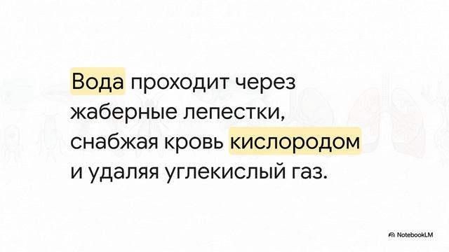 Биология 8 класс параграф 7 Дыхание животных краткий пересказ