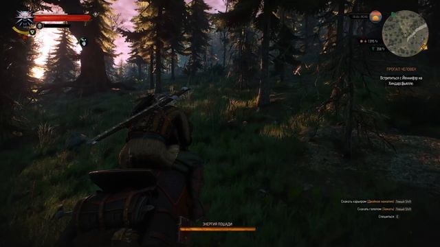 The Witcher 3 Серия 38